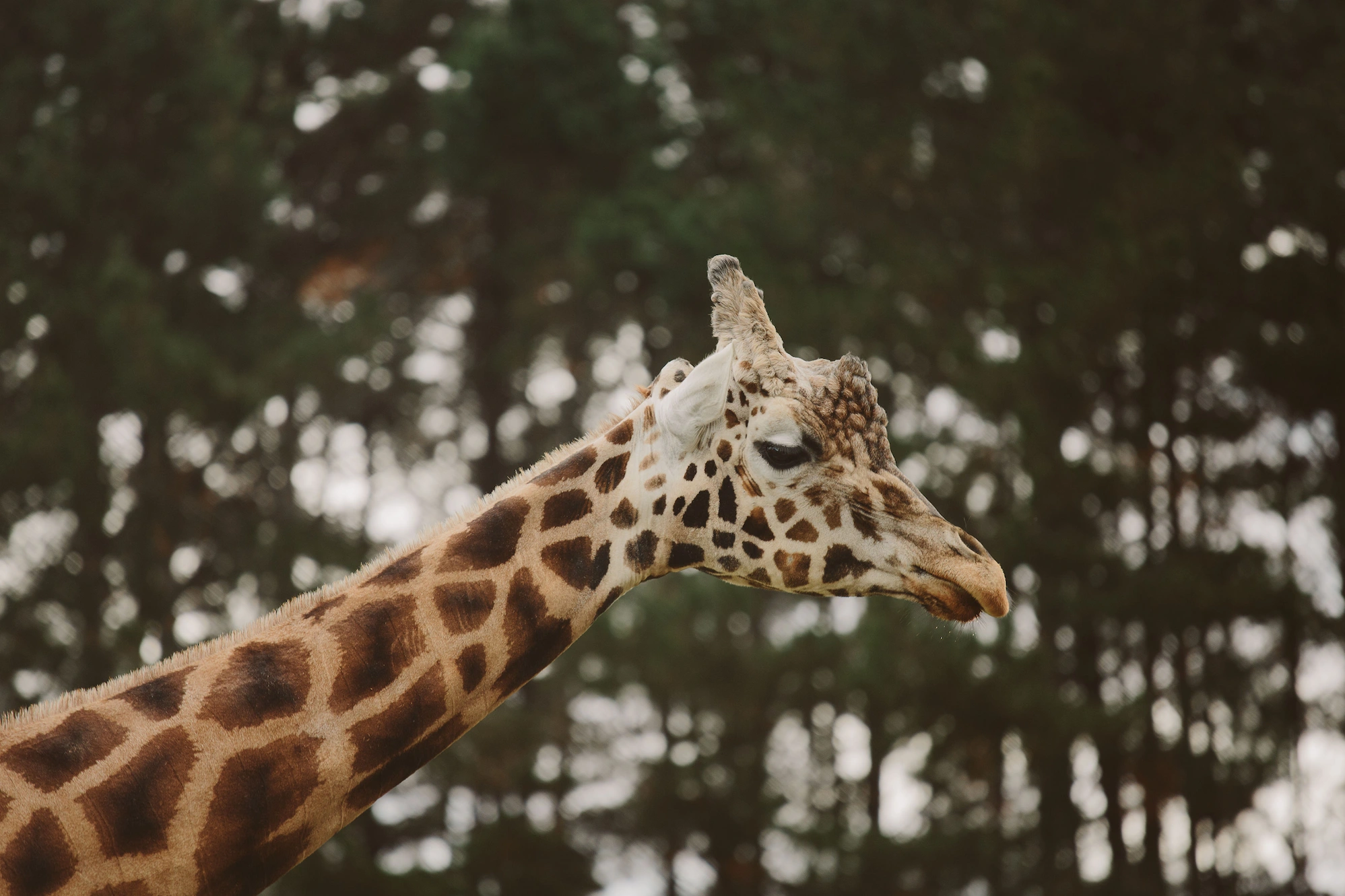 Getting to the zoo | Hamilton Zoo